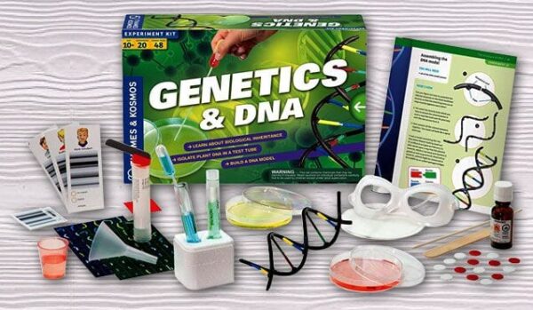 Genetics & DNA Experiment Kit