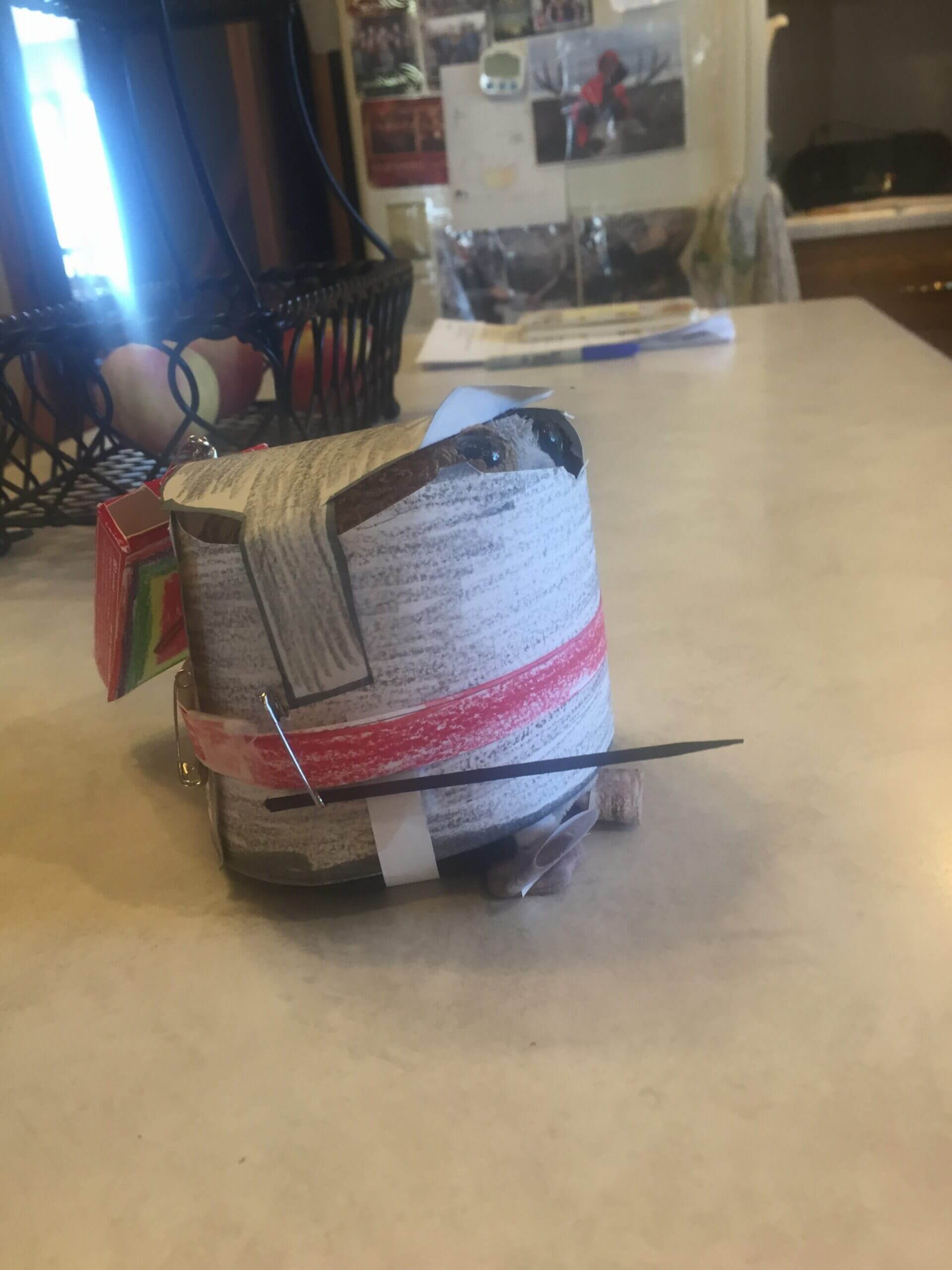 Hands-on learning projects engage all types of kids - Heart of Dakota ...