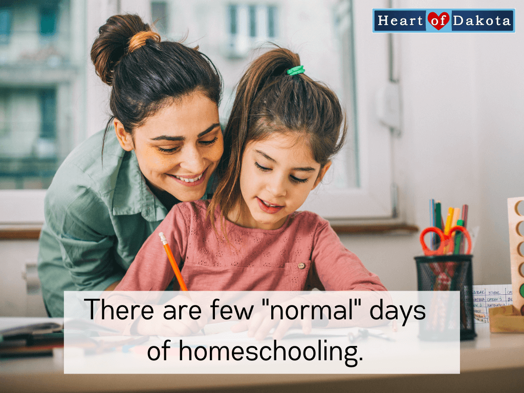 There are few "normal" days of homeschooling.
