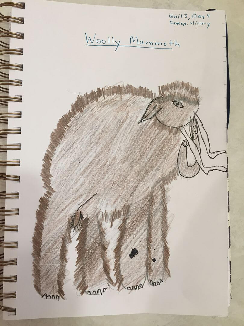 Give children time to develop their Draw and Write Through History skills!